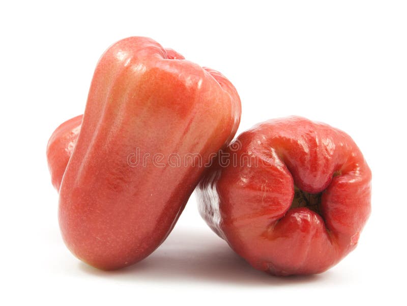 Rose apple isolated stock photo. Image of healthy, fruit - 78849776