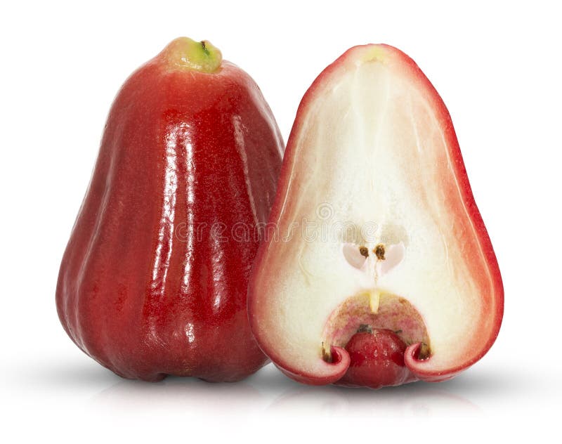 Rose Apple Isolated on White Background Stock Photo - Image of isolated ...