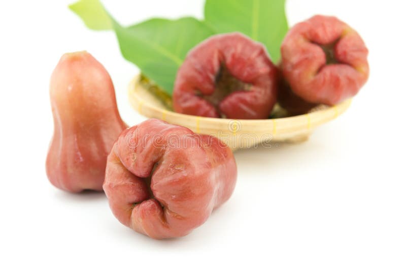 312 Thai Fruit Rose Apple Isolated White Background Stock Photos - Free ...