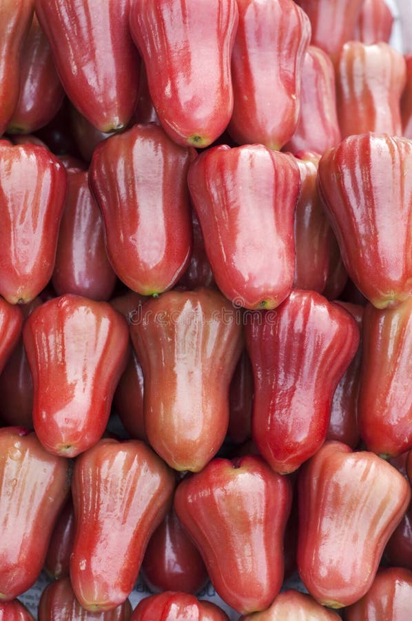 Rose apple stock photo. Image of colorful, heap, group - 45929522