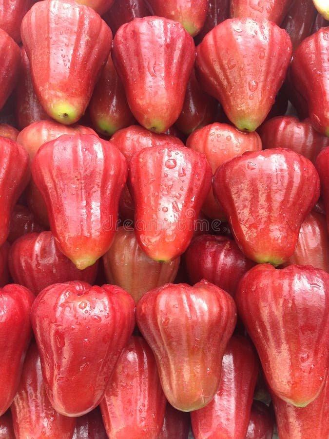 Rose apple stock image. Image of plants, life, fruits - 40104099