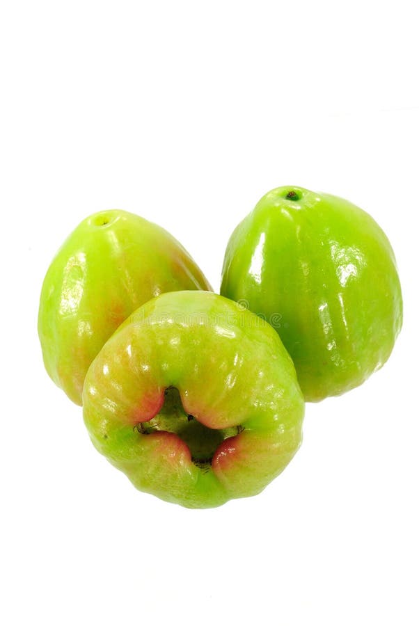 Red juicy guava stock image. Image of freshness, asia - 7459259