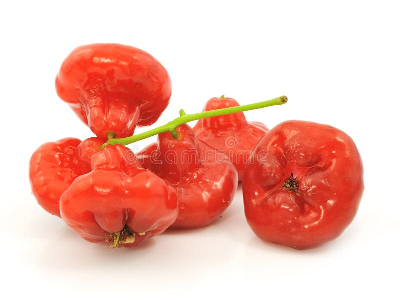 161 Tambis Fruit Stock Photos - Free & Royalty-Free Stock Photos from ...