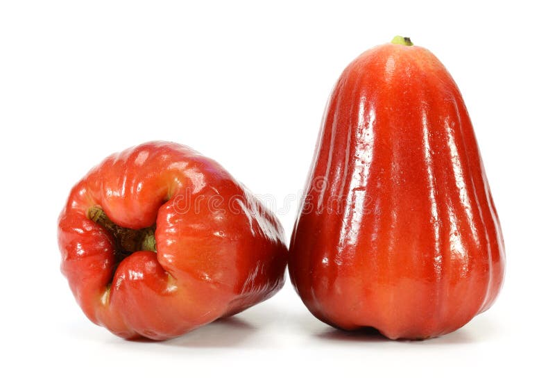 168 Tambis Stock Photos - Free & Royalty-Free Stock Photos from Dreamstime