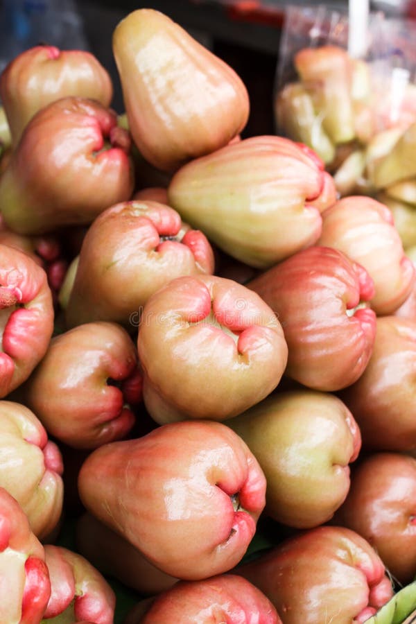 Rose apples. stock image. Image of ingredient, bell, fresh - 66761359