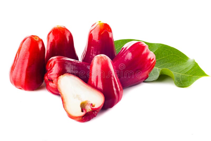 Rose apples stock photo. Image of group, asian, beautiful - 92778094