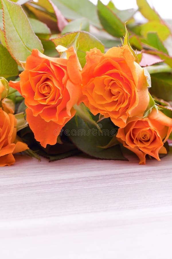 Mazzo delle rose arancio immagine stock. Immagine di cestino - 28543279