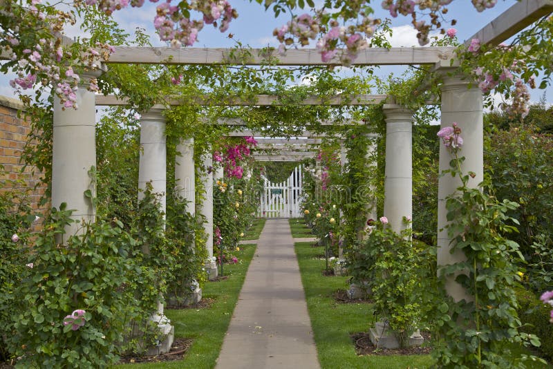 Arbor into Rose Garden stock photo. Image of rose, walkway - 8064480