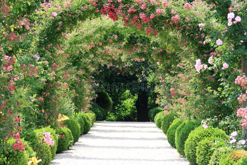 Rose Arch in the Garden stock photo. Image of colors - 18240518