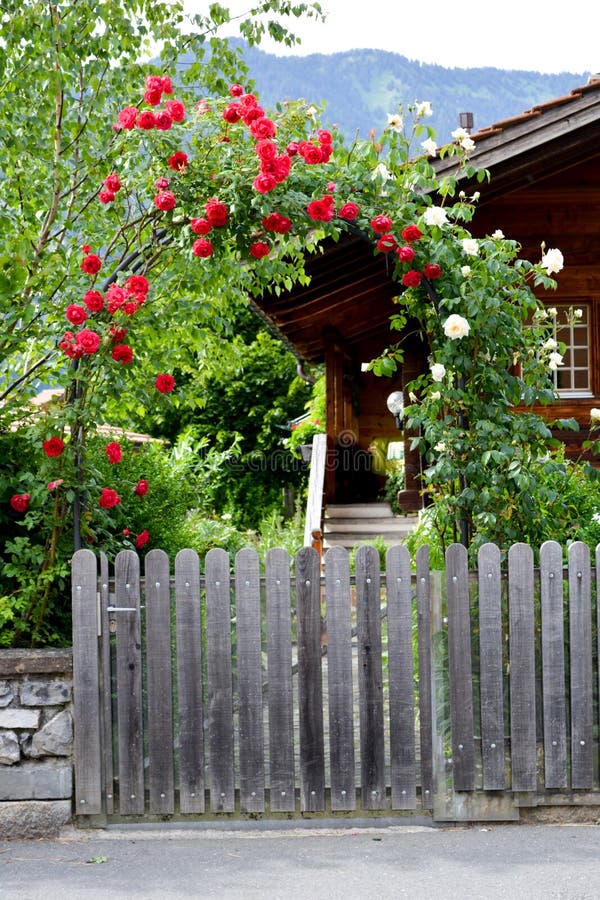 Rose arch wooden gate stock photo. Image of monument - 74442890