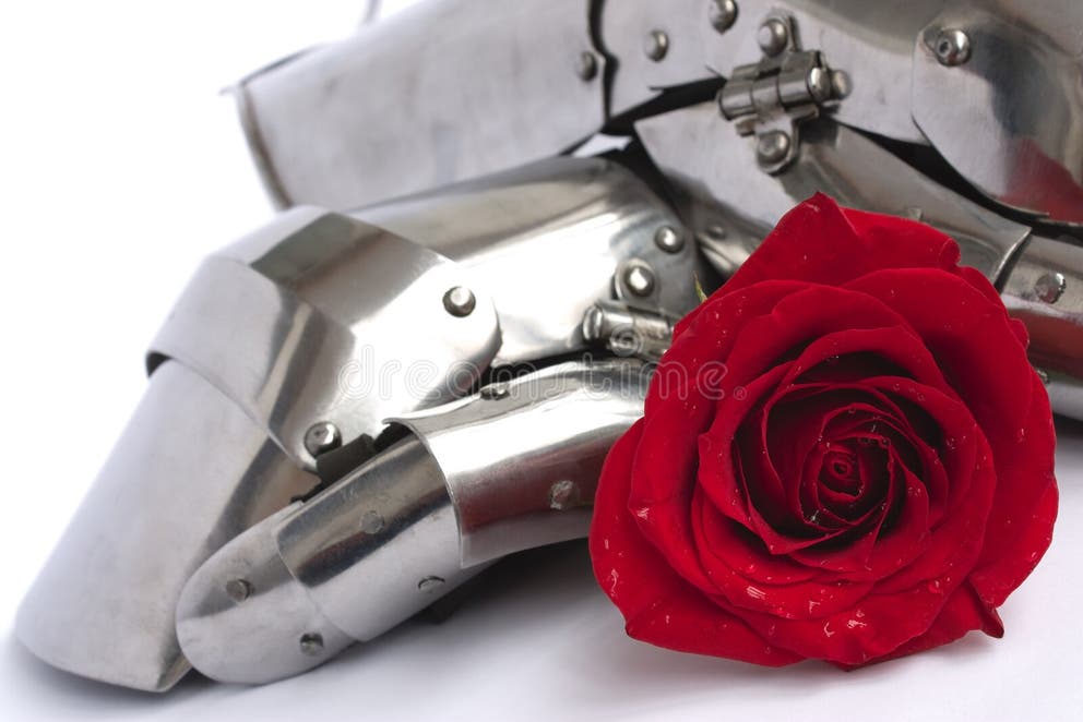 Rose and armor stock image. Image of gloves, armor, charming - 8186621