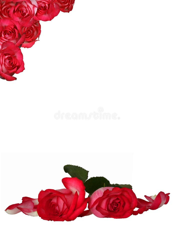 Rose Background stock illustration. Illustration of rose - 1967388