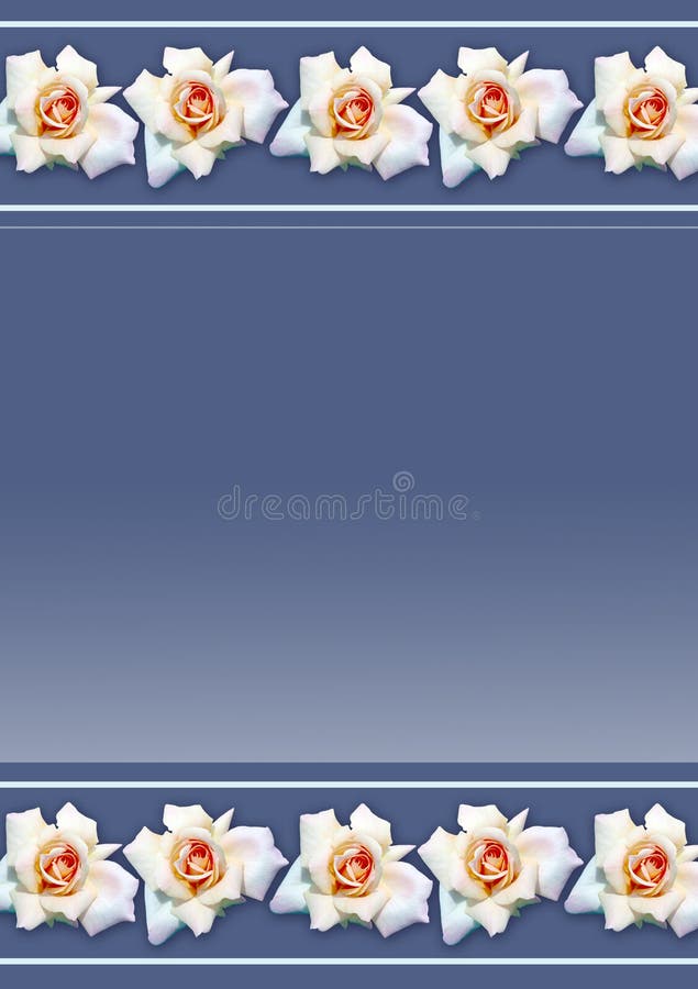 Rose background stock illustration. Illustration of borders - 61640395