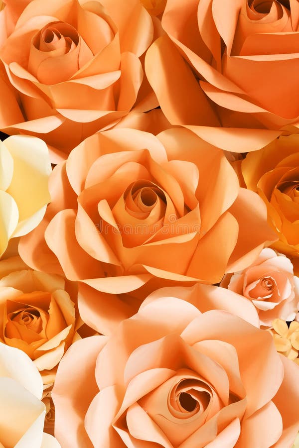 Rose background from paper stock image. Image of closeup - 85396151