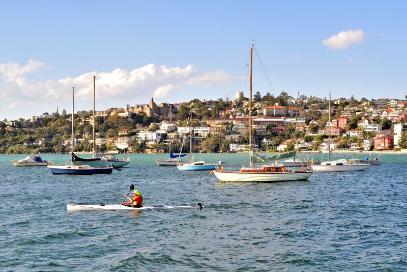 Rose Bay photo stock éditorial. Image du côte, bateau - 33146573