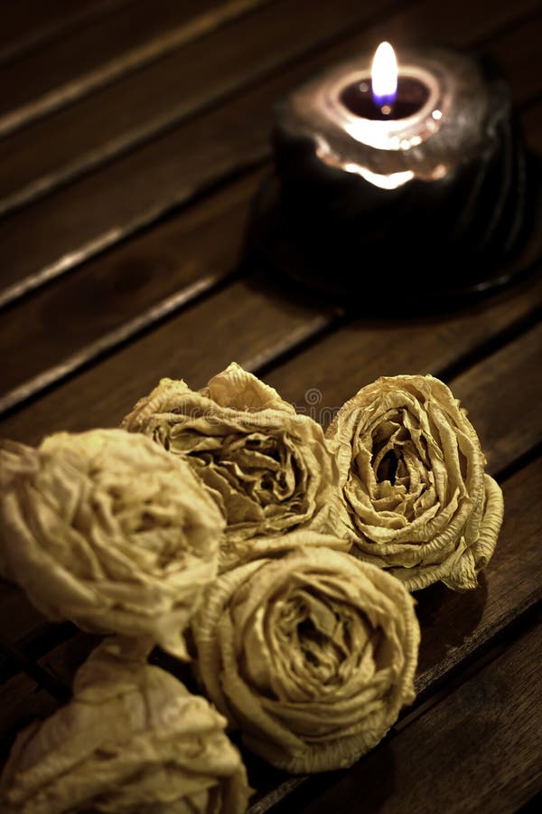 Rose bianche secche fotografia stock. Immagine di candela - 17860260