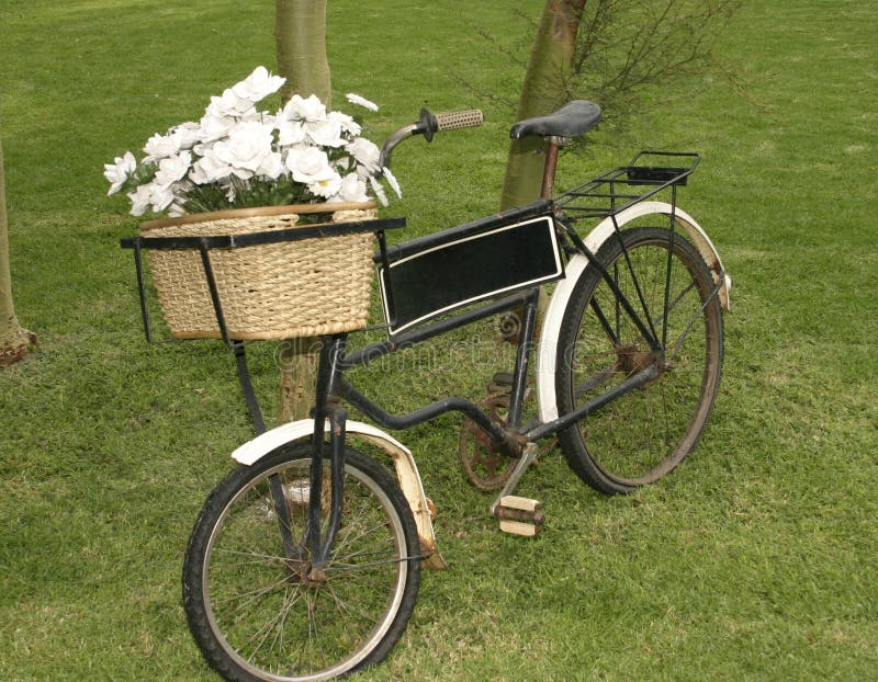 Rose bicycle stock image. Image of bicycle, break, health - 181865