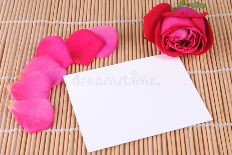 Rose and a blank card stock photo. Image of straw, detail - 27316932