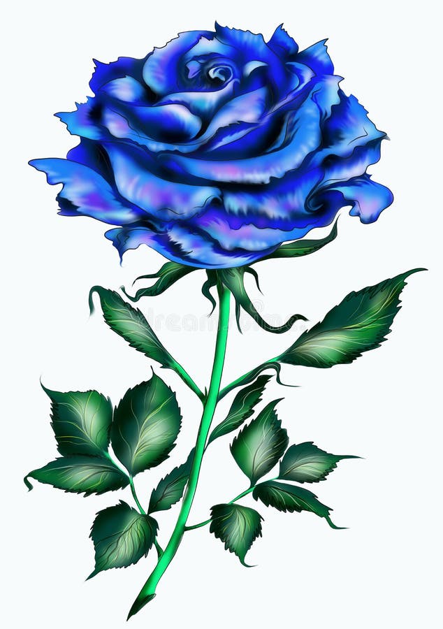 The Rose is Blue. Rose of Love Stock Illustration - Illustration of ...