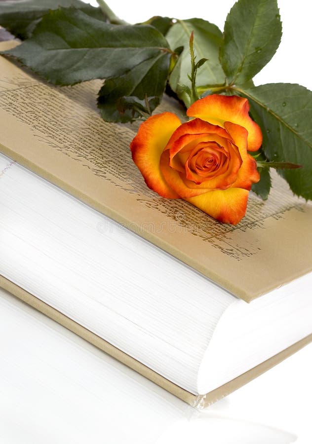 Bookmark stock photo. Image of core, chapter, spring, blossom - 804456