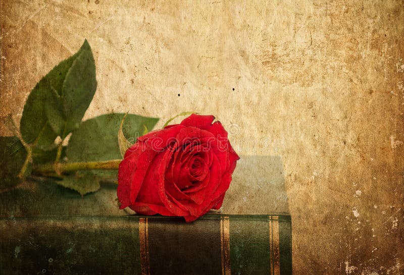 Rose on Book in Vintage Style Stock Image - Image of beauty, beautiful ...