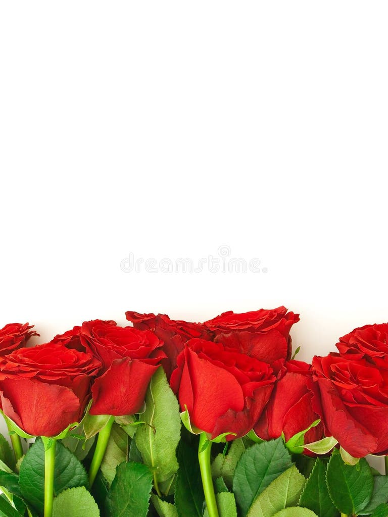 Red White Roses Borders Stock Photos - Free & Royalty-Free Stock Photos ...
