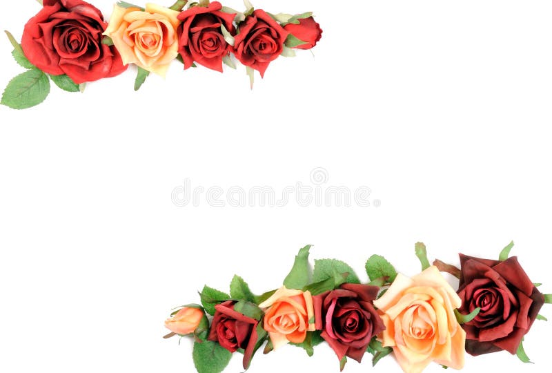 Rose border stock image. Image of fresh, christmas, frame - 33849085