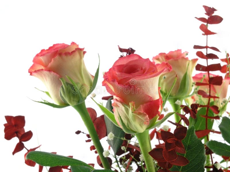 Rose bouquet stock photo. Image of floral, beauty, florist - 6417408