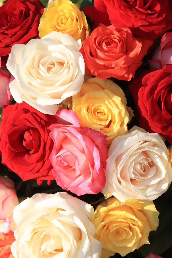 Rose Bouquet in Bright Colors Stock Image - Image of summer, flora ...