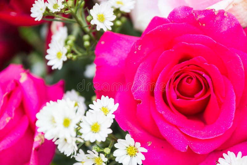 Rose Bouquet Using in Wedding Ceremony Side Perspective Stock Image ...