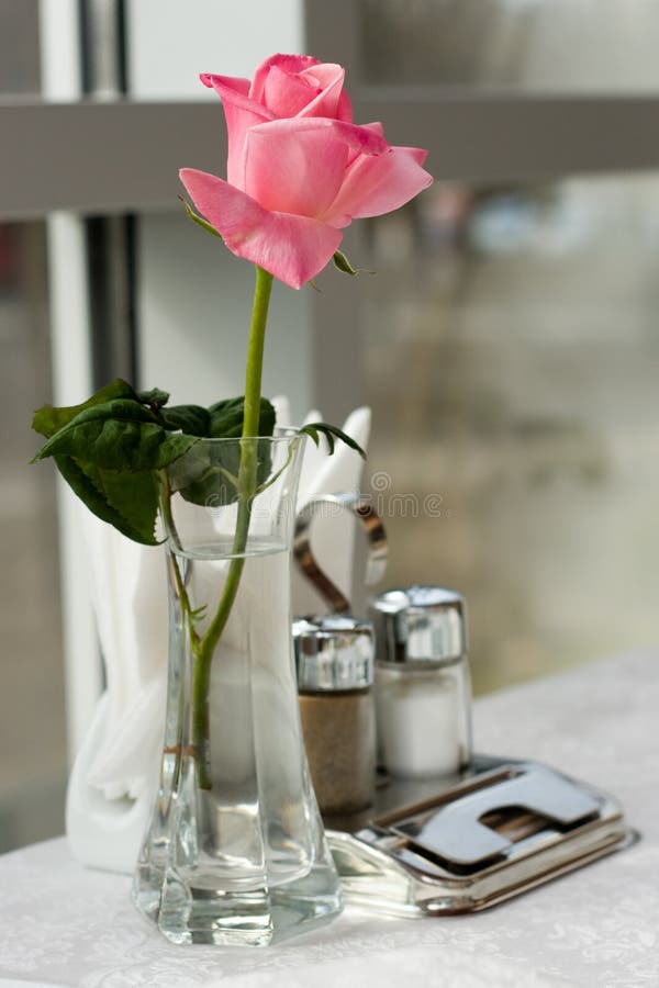 Rose in bowl stock photo. Image of table, beauty, plant - 11657856