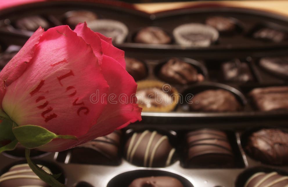 Rose and Box of Assorted Chocolates for Valentines Day Stock Photo ...