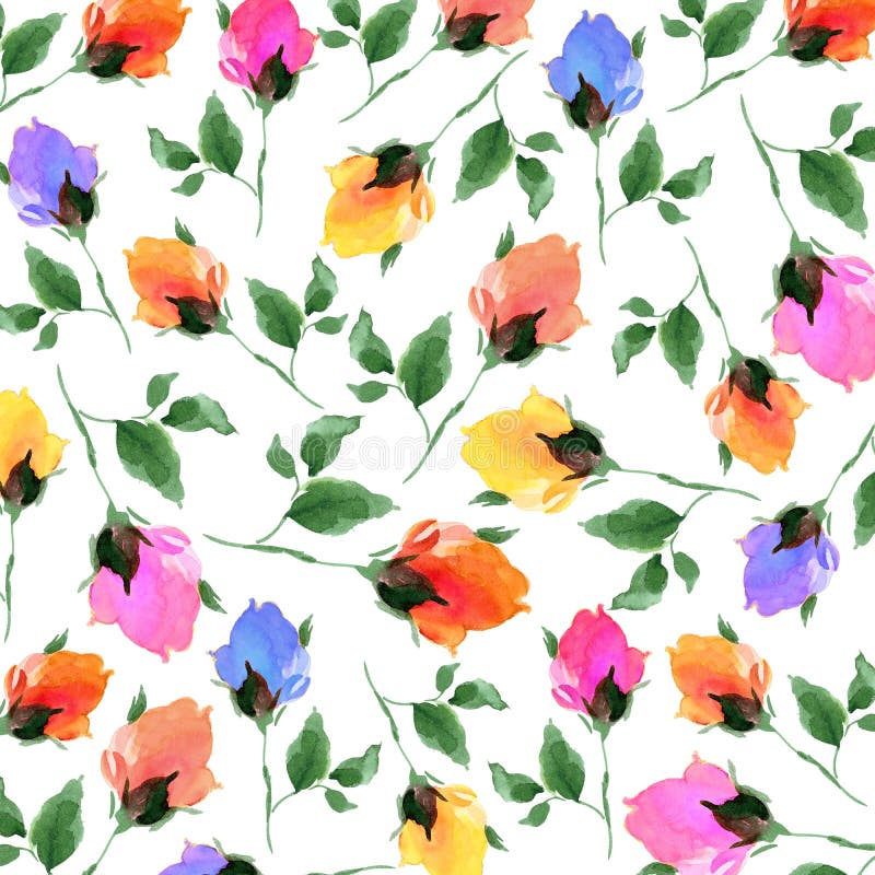 Rosebuds Rosa Stock Illustrations – 15 Rosebuds Rosa Stock ...