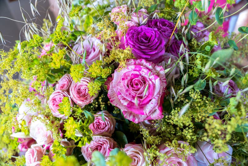 Rose Buds of Different Pink Shades Stock Photo - Image of life ...