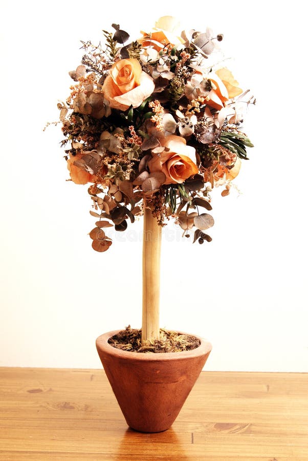 Rose Bush Standing on a Table Stock Photo - Image of wood, leat: 5282294