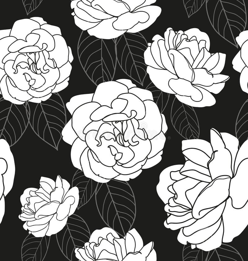 Rose bw stock illustration. Illustration of monochrome - 67446250