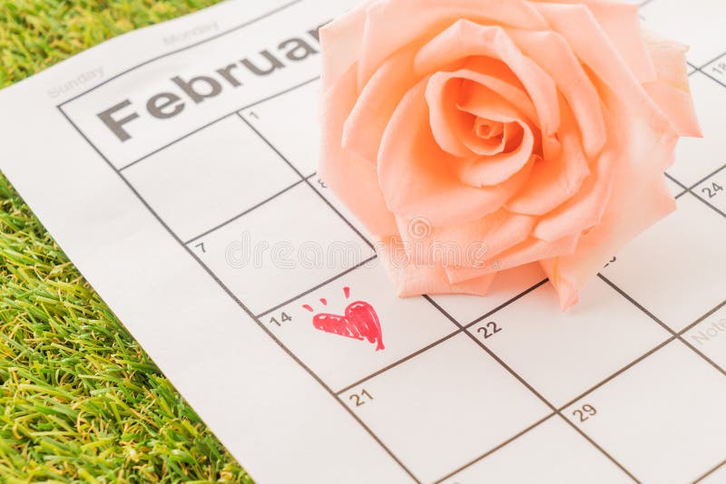 Rose on the calendar stock image. Image of pink, floral - 86165251