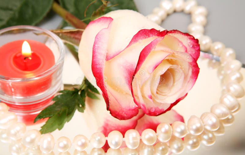 Rose and candle stock photo. Image of beads, rose, petal - 13950292