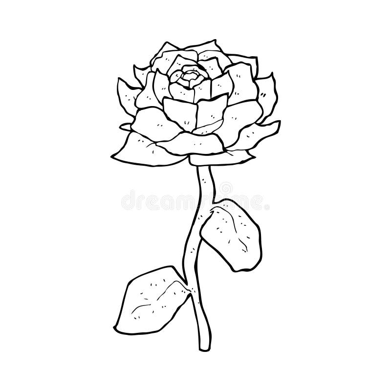Rose cartoon stock vector. Illustration of rose, drawing - 37036302