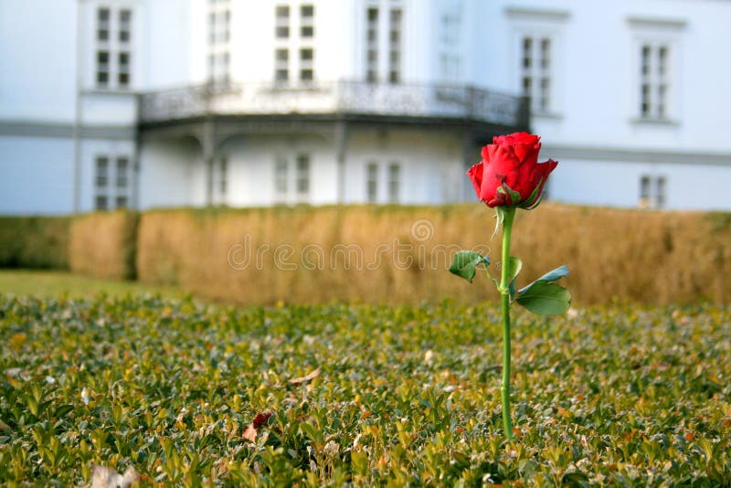 Rose and castle stock image. Image of horizontal, copenhagen - 10263921