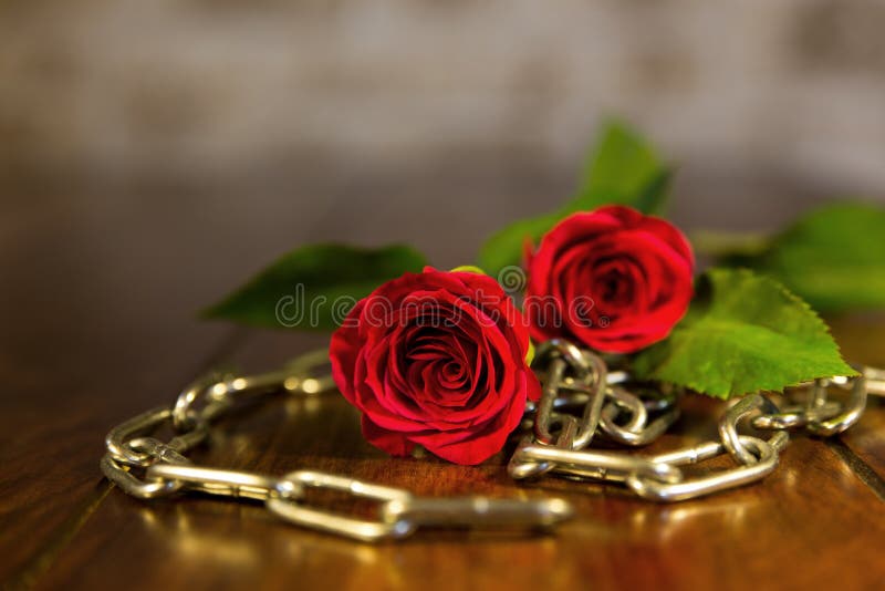 Rose and chains background stock photo. Image of erotic - 39609790
