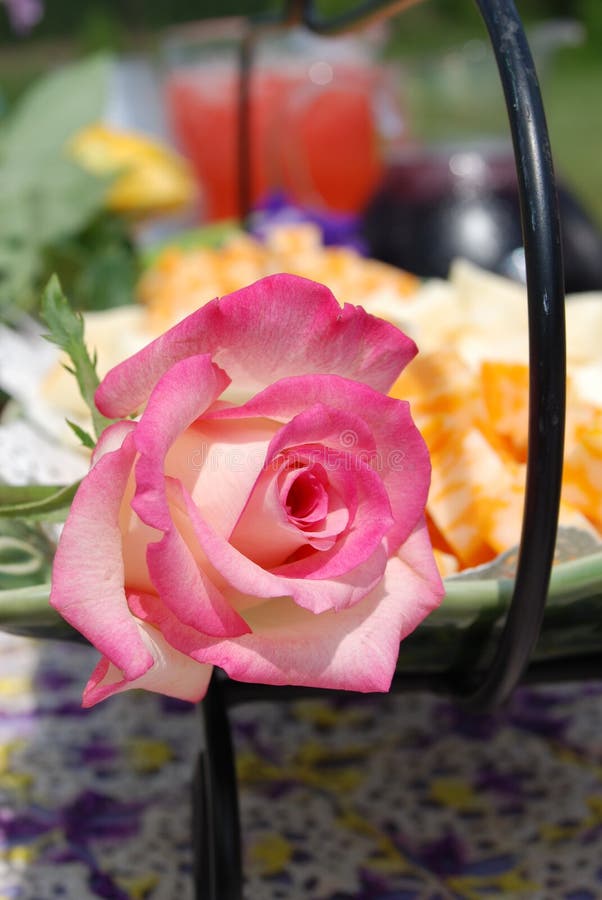 Rose & Cheese stock image. Image of pink, marble - 10650757