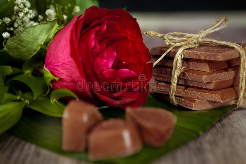 Rose and chocolate stock photo. Image of chocolate, food - 84242262