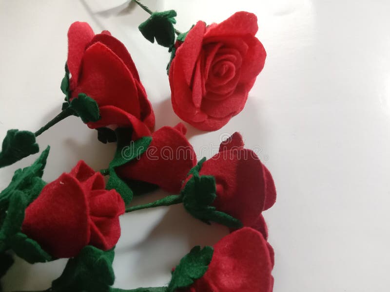 Some Roses stock image. Image of garden, jasmine, rose - 321779589