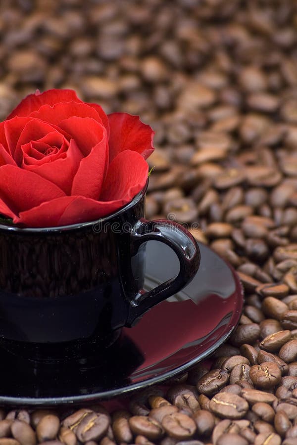 Rose and coffee stock image. Image of morning, rose, espresso - 7885361