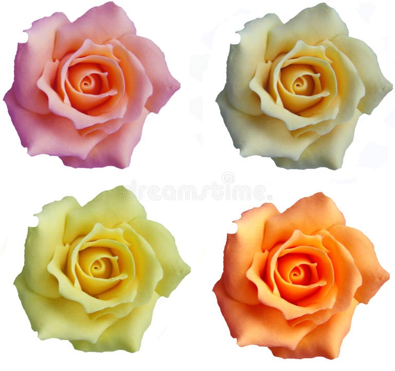 Rose Soap Stock Illustrations – 2,725 Rose Soap Stock Illustrations ...