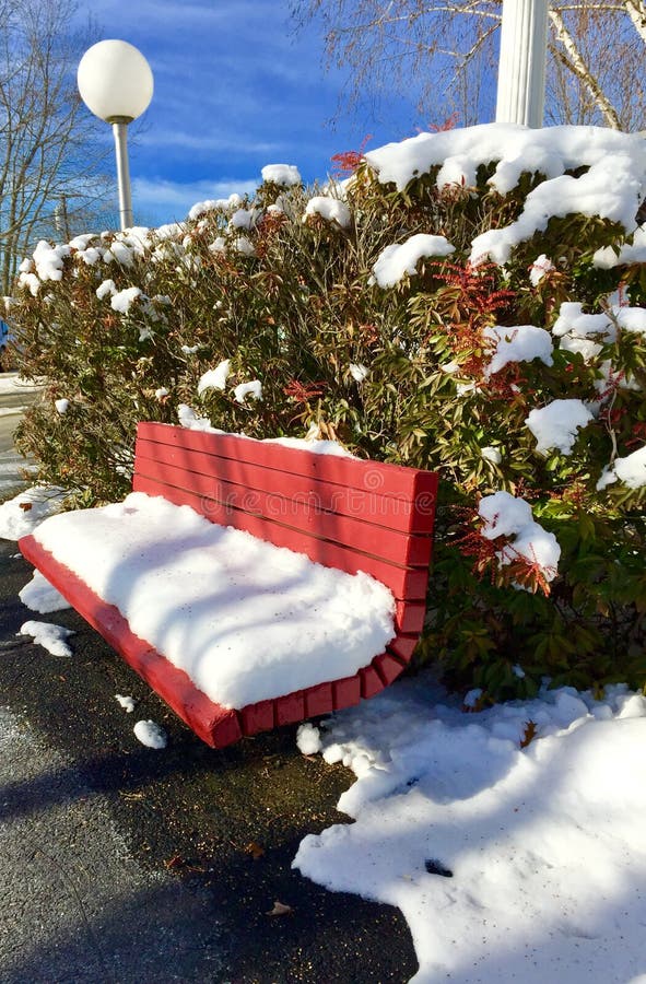 Rose Colored Bench with Snow and White Light Pole Stock Image - Image ...