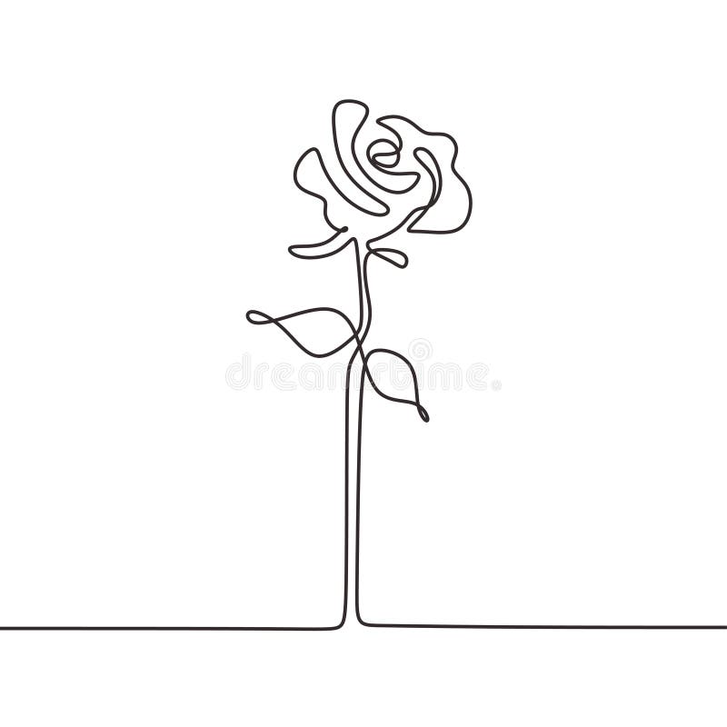 Rose Continuous Line Drawing Stock Illustrations – 2,403 Rose ...