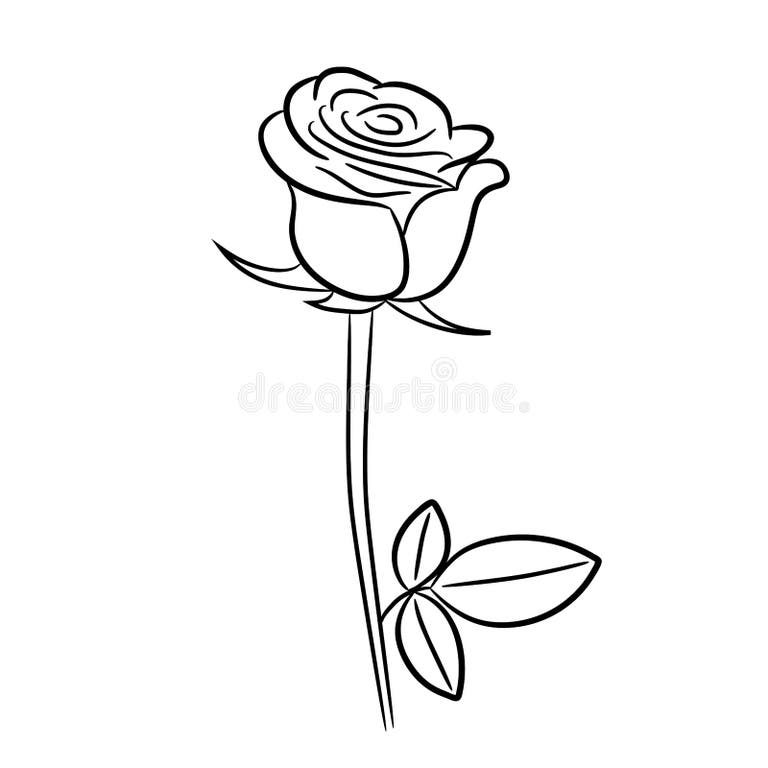 Outline Rose Illustrations Stock Illustrations – 2,783 Outline Rose ...