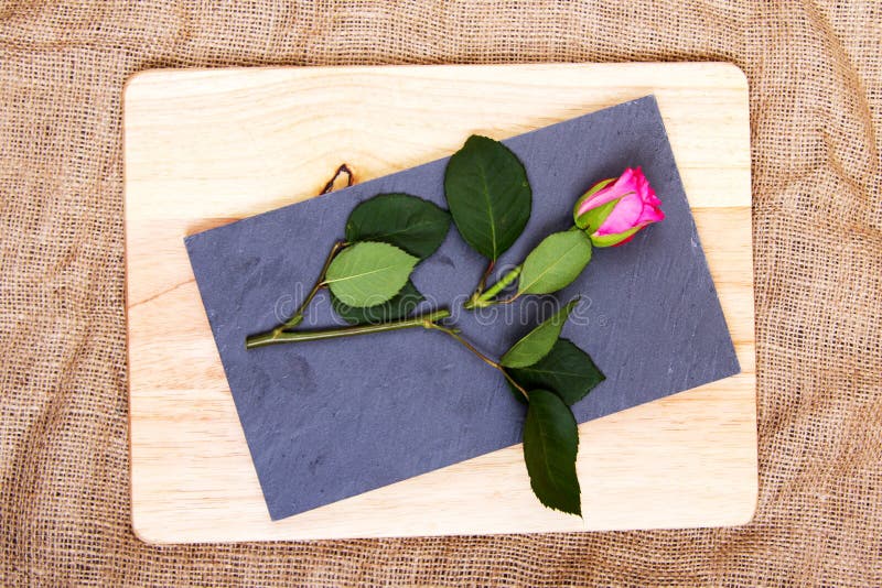Rose Cut Up on Piece of Slate Stock Image - Image of relationship, rose ...